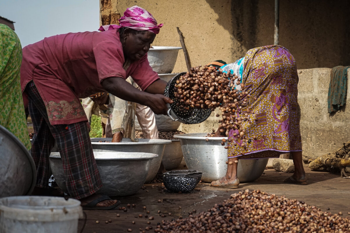 Burn Design Lab - Winter 2022 Newsletter